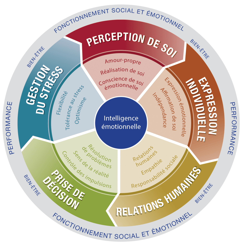 EQ-i : test de quotient émotionnel (QE) - Nathalie Canet Coaching